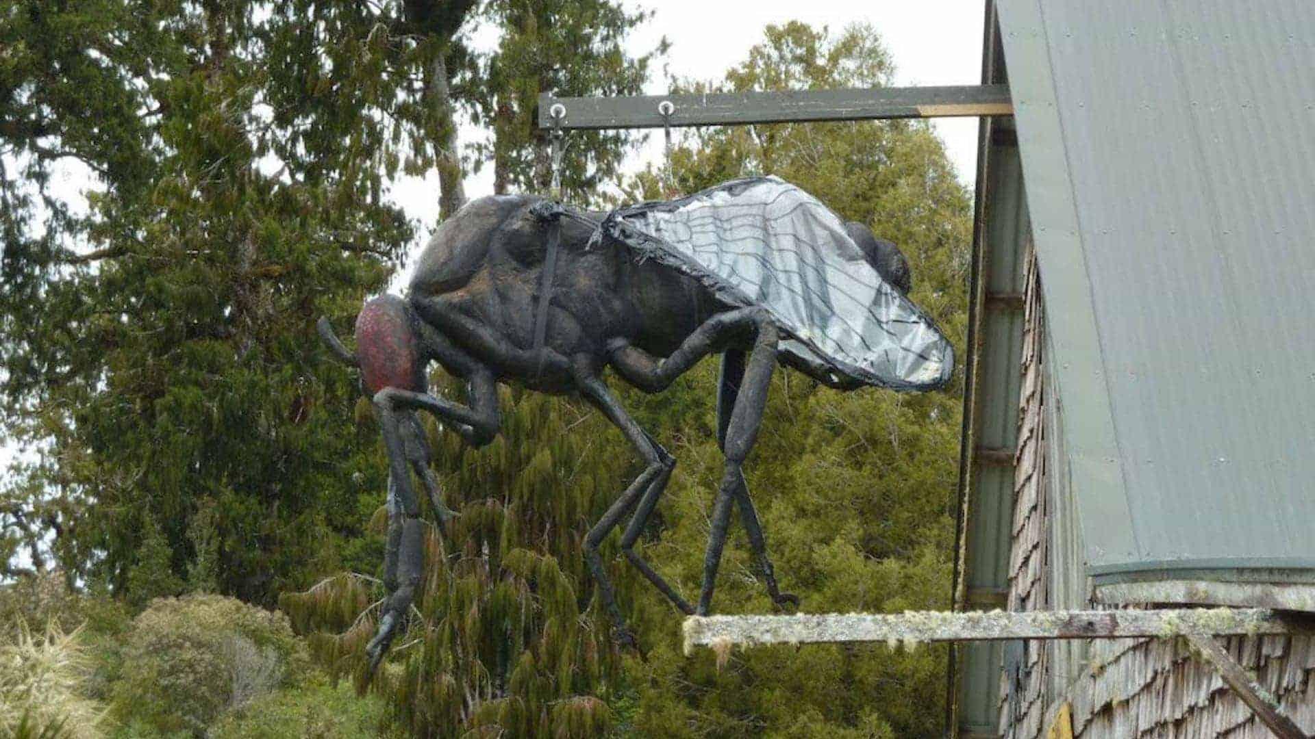 How to Repel Sandflies and Avoid Sandfly Bites in New Zealand
